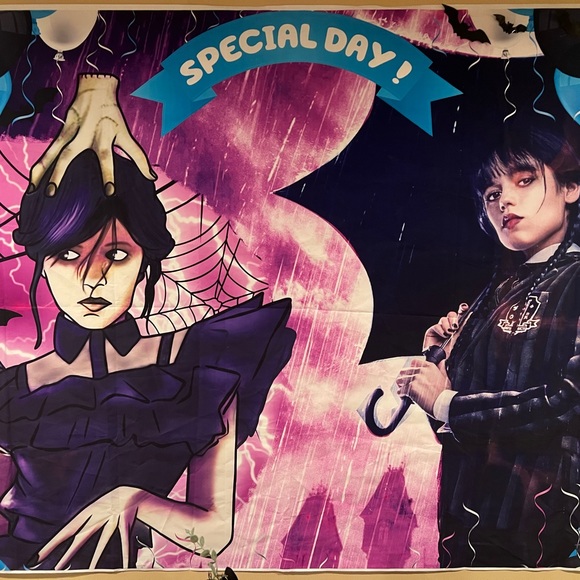 Party Supplies | Huge Wednesday Aadams Birthday Party | Poshmark